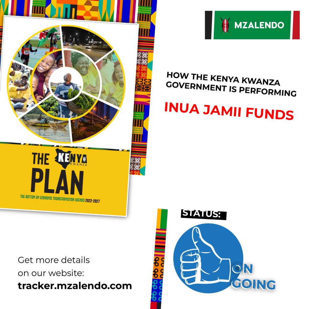 Inua Jamii Funds - Promise Tracker
